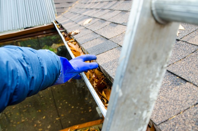 Top-Rated Property Maintenance Company for Homes in Auckland, NZ